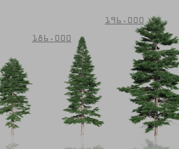 ArtStation - Conifer Trees Pack | Game Assets