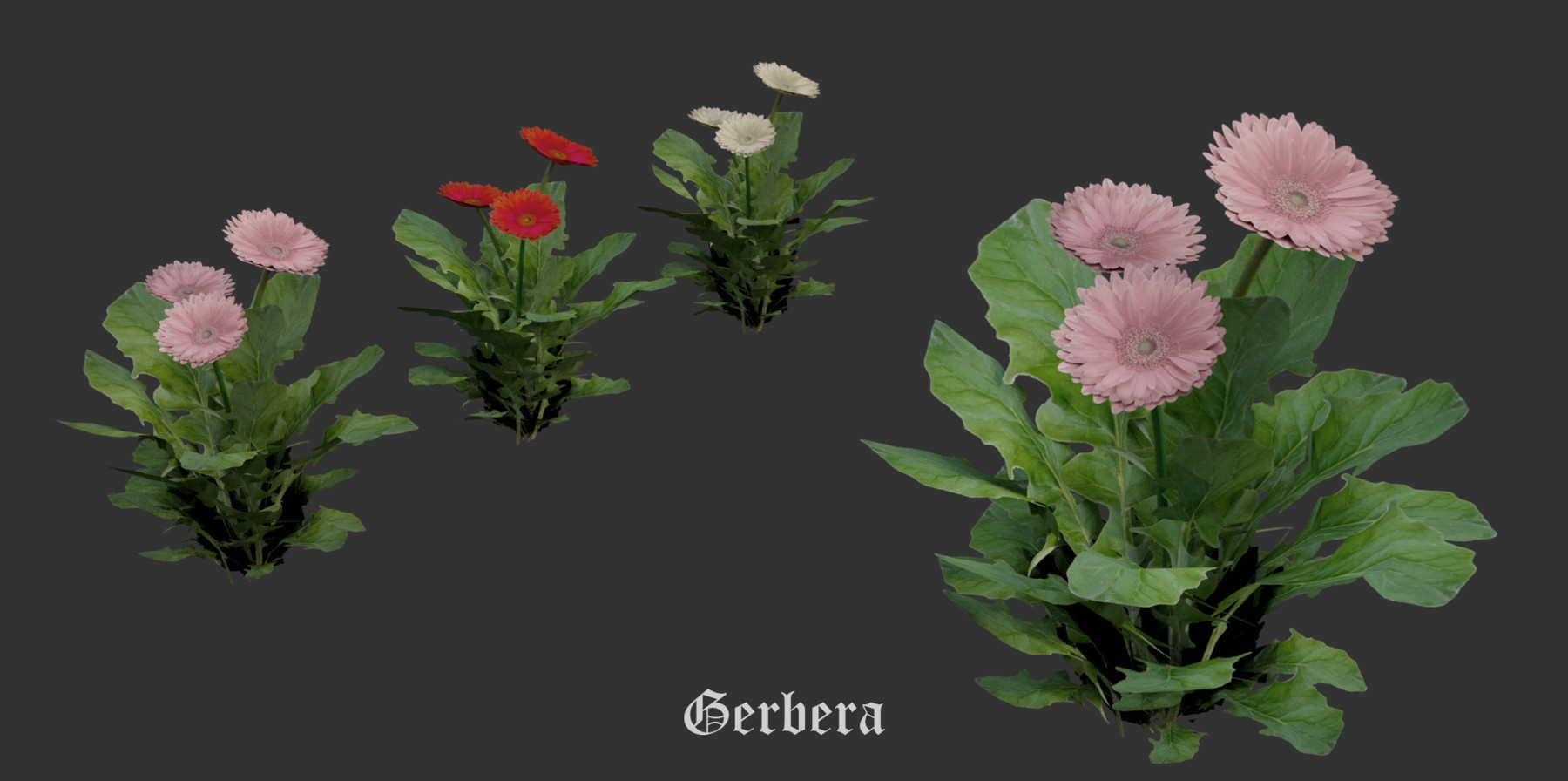 ArtStation - Flowers Pack | Game Assets