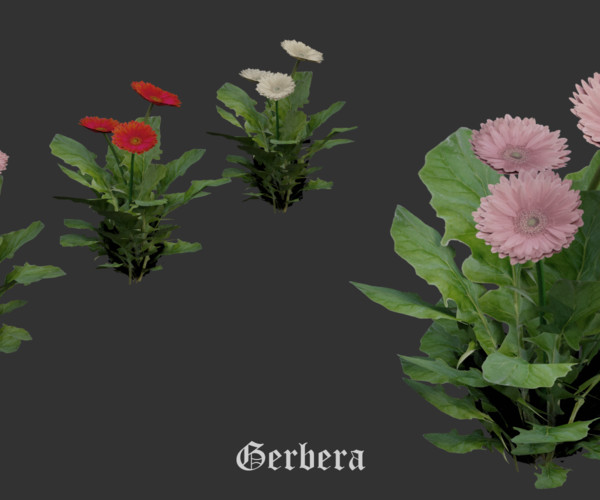 ArtStation - Flowers Pack | Game Assets