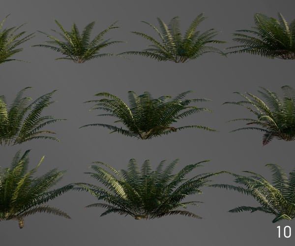 ArtStation - 3D Ferns Collection | Resources
