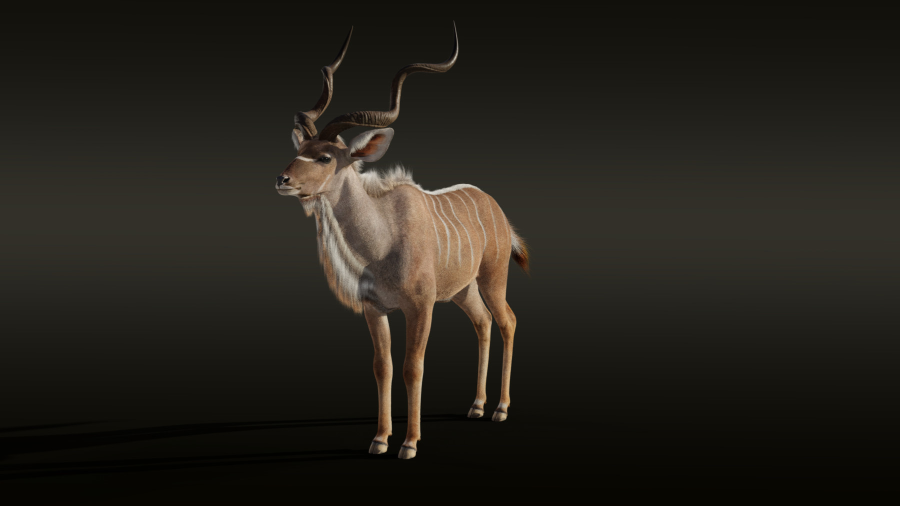 ArtStation - 3D Animal | Greater Kudu Male Animated | Resources