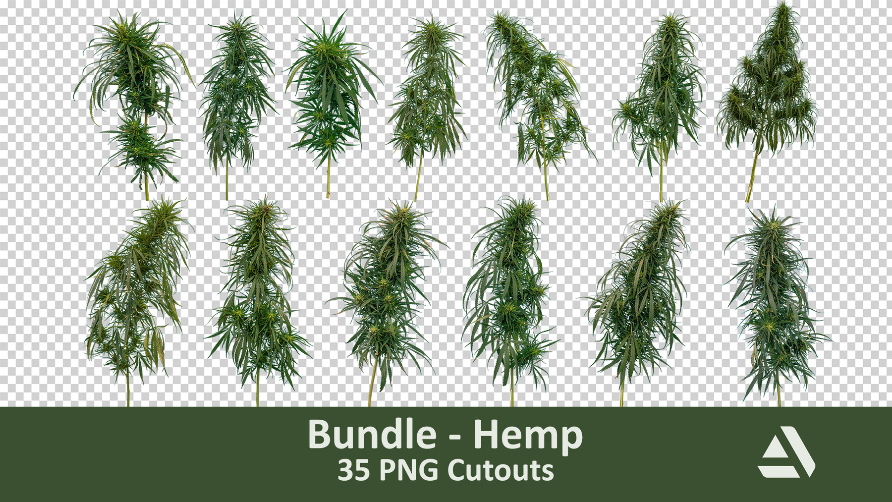 ArtStation - PNG Photo Pack: Hemp | Resources