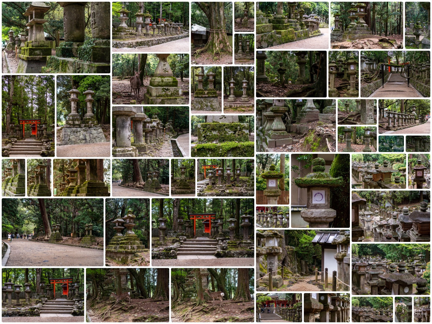 ArtStation - Nara | Japan | Resources