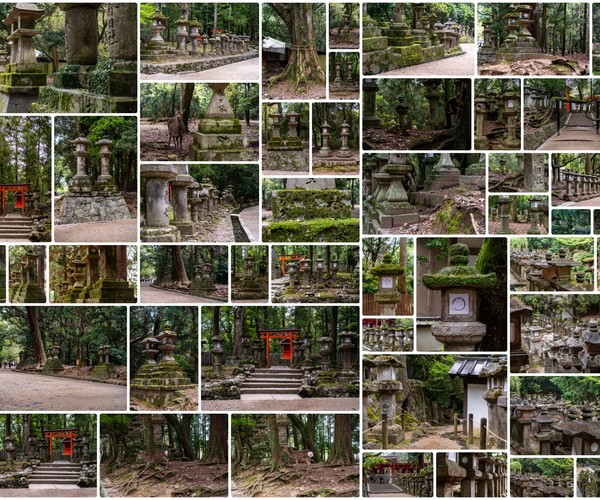 ArtStation - Nara | Japan | Resources