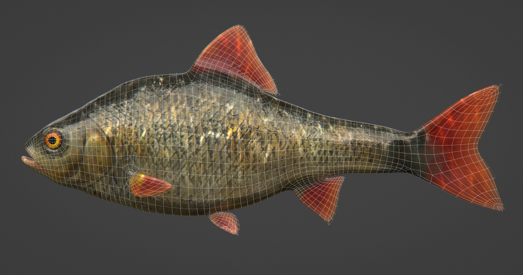 ArtStation - Fish | Resources