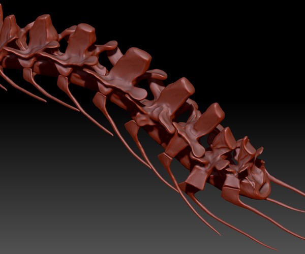 ArtStation - Spinosaurus Neck Skeletons Set | Game Assets