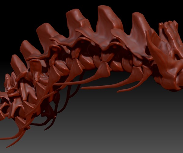 ArtStation - Spinosaurus Neck Skeletons Set | Game Assets