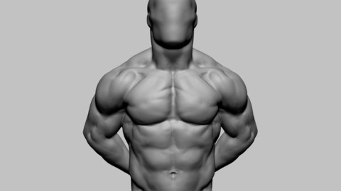 ArtStation - Male Torso 04 | Resources