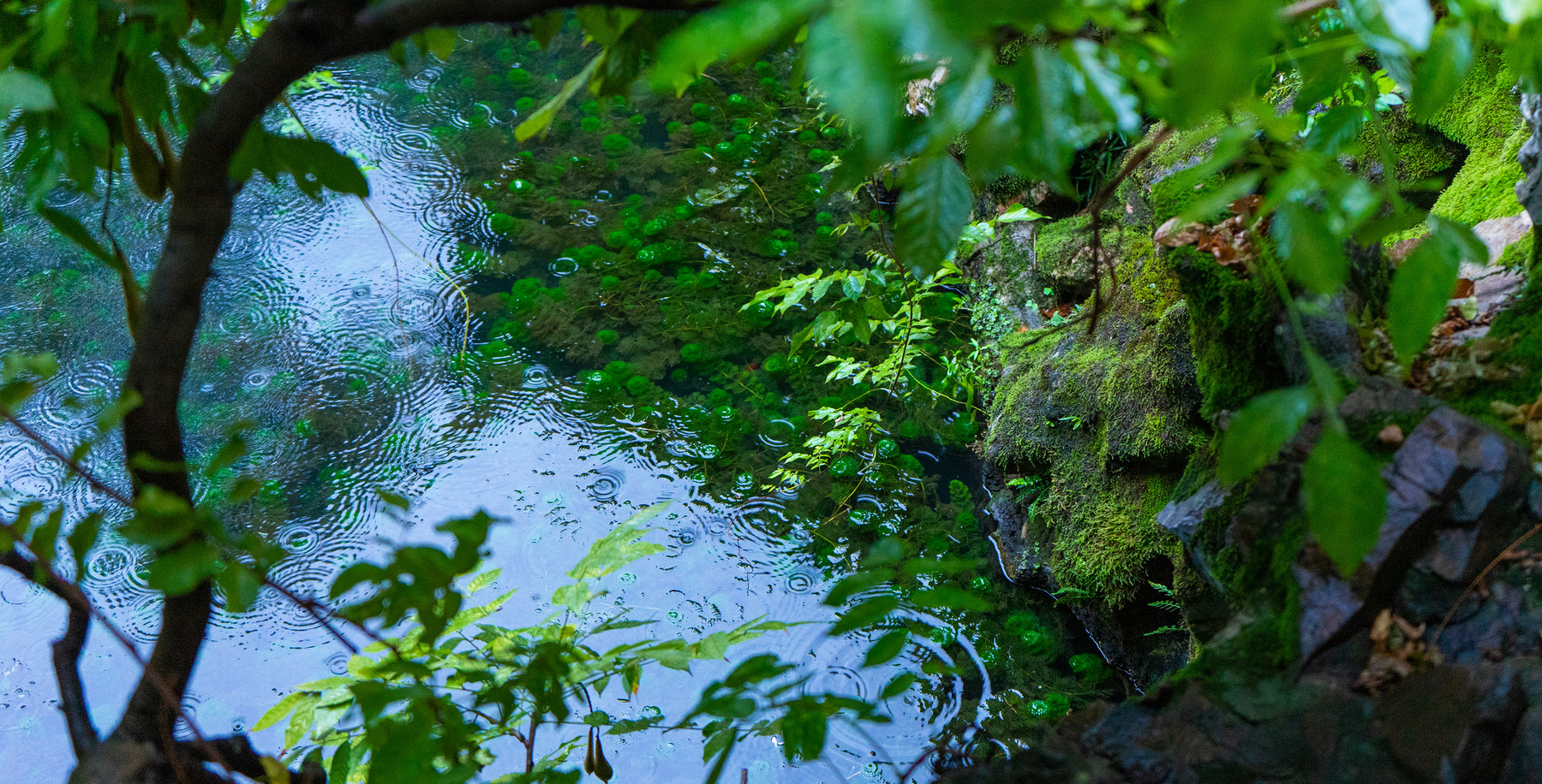 ArtStation - Chinese Garden - Shi Zi Lin | 狮子林 | Resources