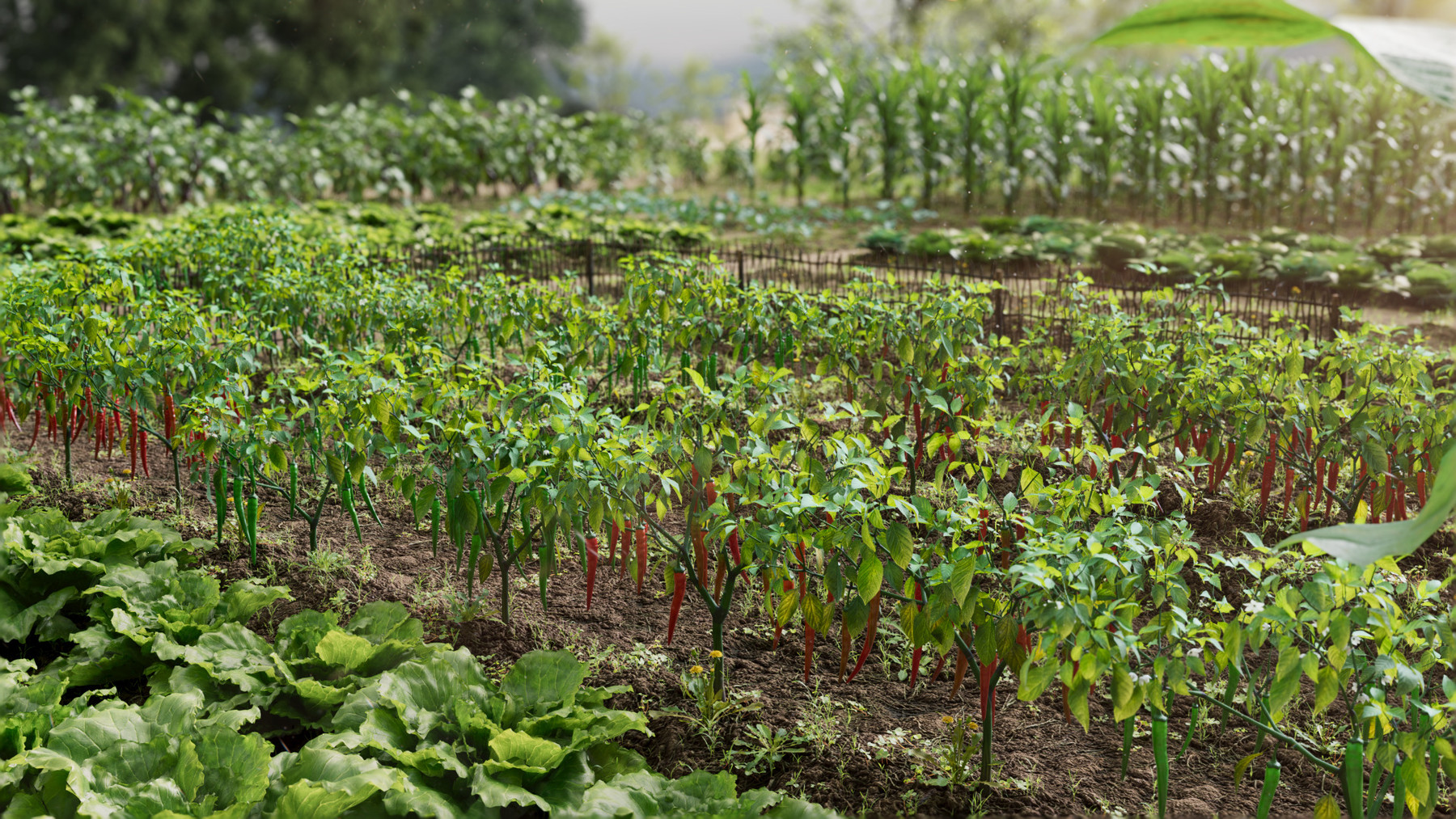 ArtStation - 3D Chilli Collection vol02 | Resources