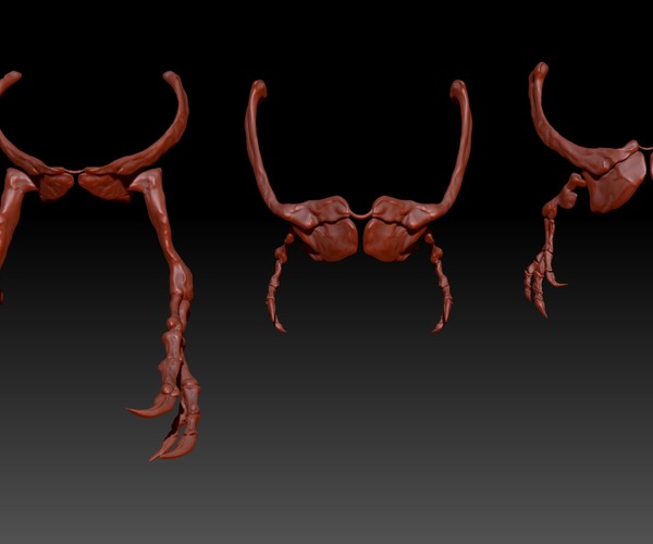 ArtStation - Dinosaur Spinosaurus - Tyrannosaurus - Giganotosaurus Arm ...
