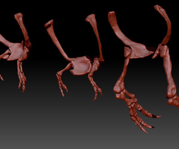 ArtStation - Dinosaur Spinosaurus - Tyrannosaurus - Giganotosaurus Arm ...