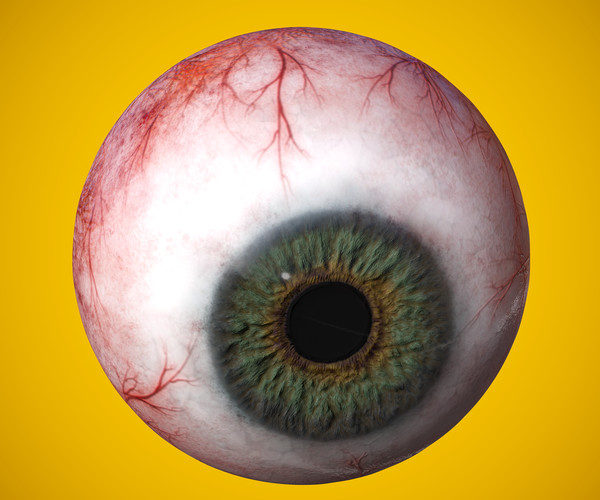 ArtStation - Eye anatomy photorealistic eyeball | Resources