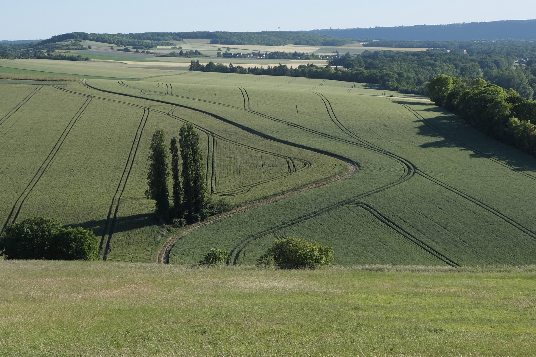 ArtStation - Fields | Resources