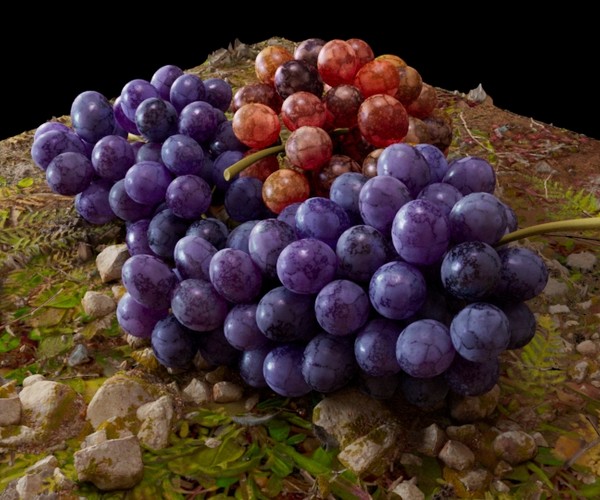 ArtStation - GRAPE SHADER for RENDERMAN FOR MAYA | Resources