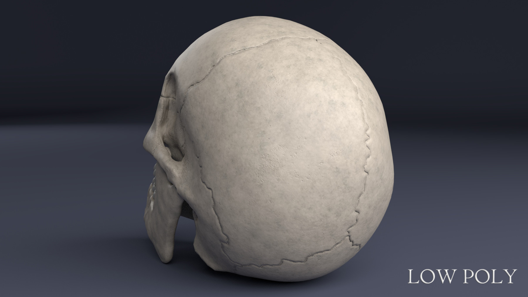 ArtStation - Human Skull | Resources