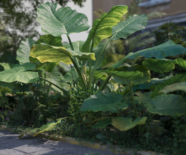 ArtStation - 3D Taro Collection | Resources