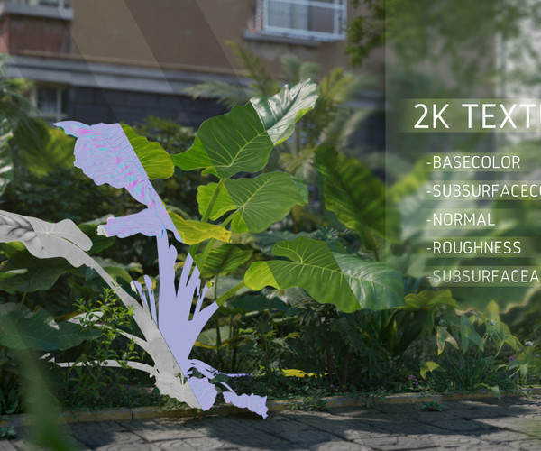 ArtStation - 3D Taro Collection | Resources