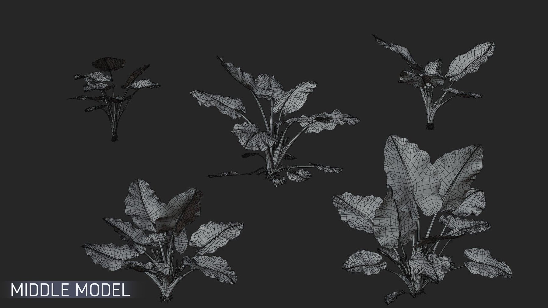 ArtStation - 3D Taro Collection | Resources