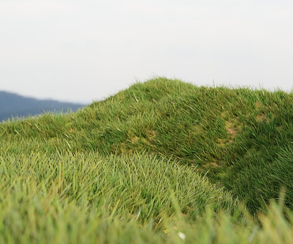 ArtStation - 4k Grass Cycles And EEVEE [3d Grass Asset] | Game Assets