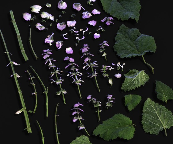 ArtStation - Free atlas textures | Photogrammetry | 32 .tif`s | Game Assets