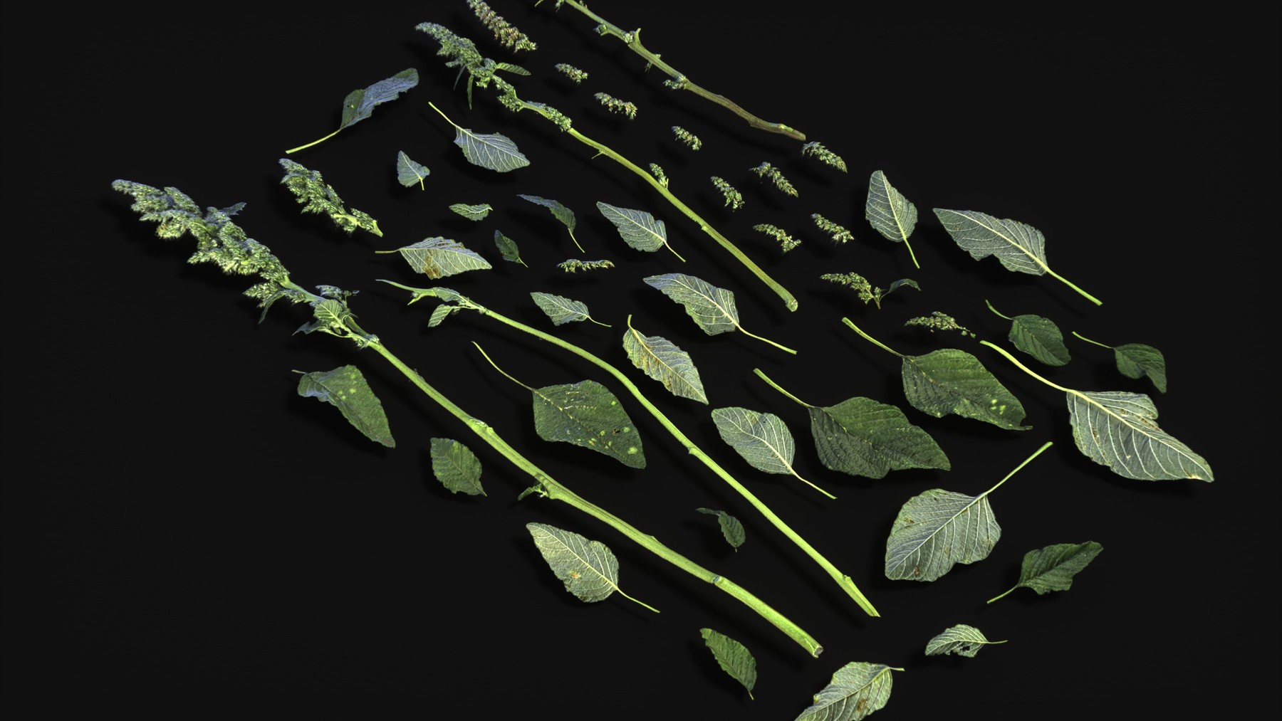 ArtStation - Free atlas textures | Photogrammetry | 32 .tif`s | Game Assets