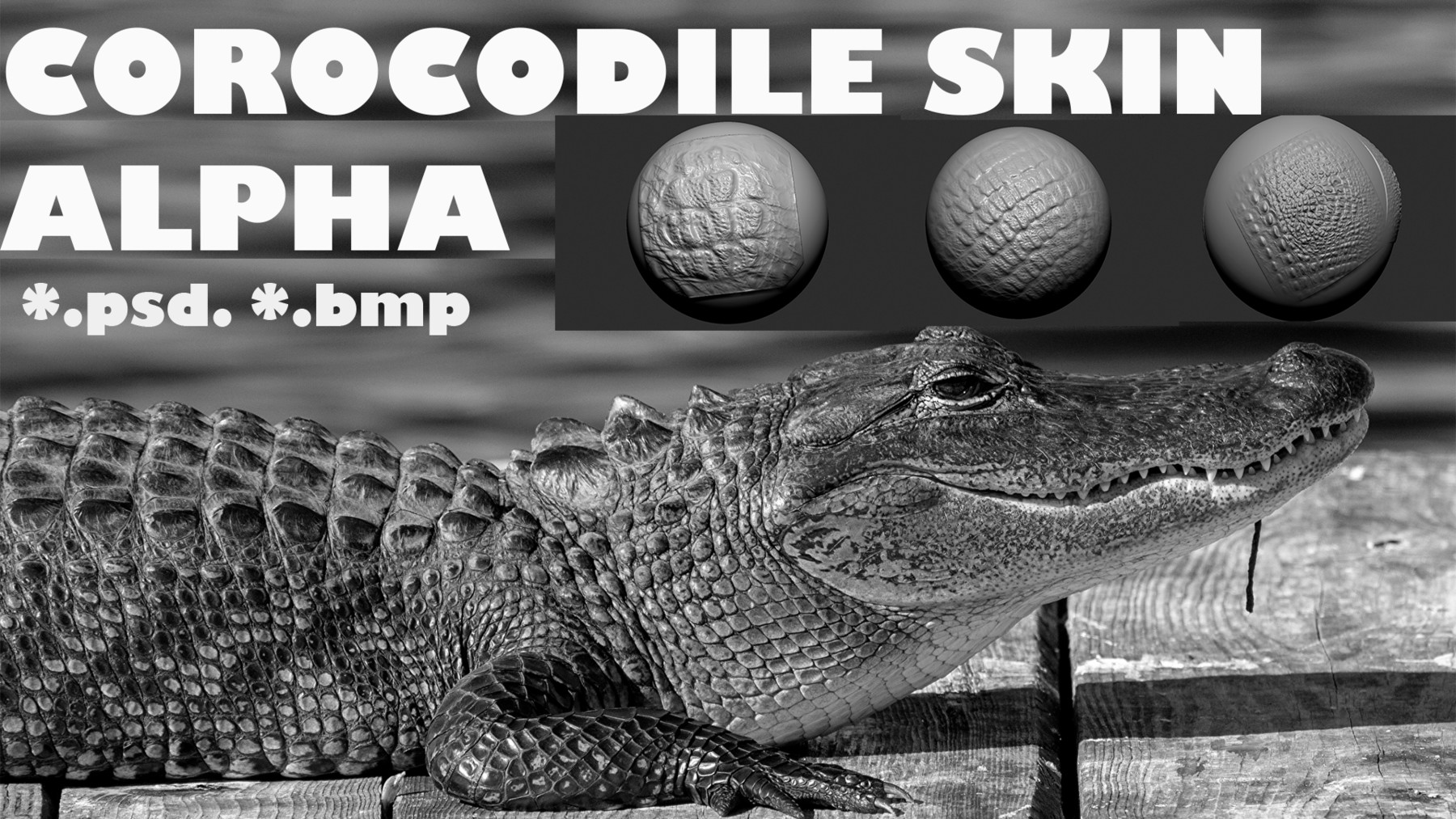 ArtStation - Alpha brush Corocodile | Brushes