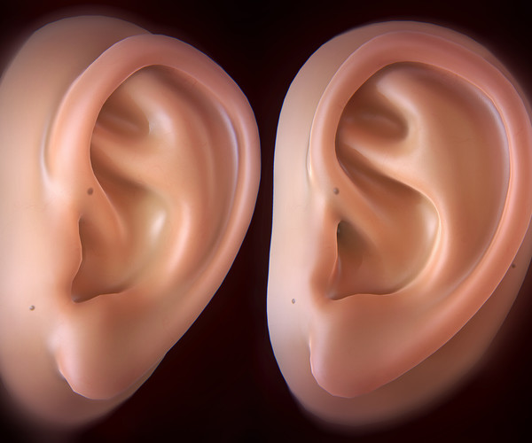 ArtStation - Ear | Game Assets