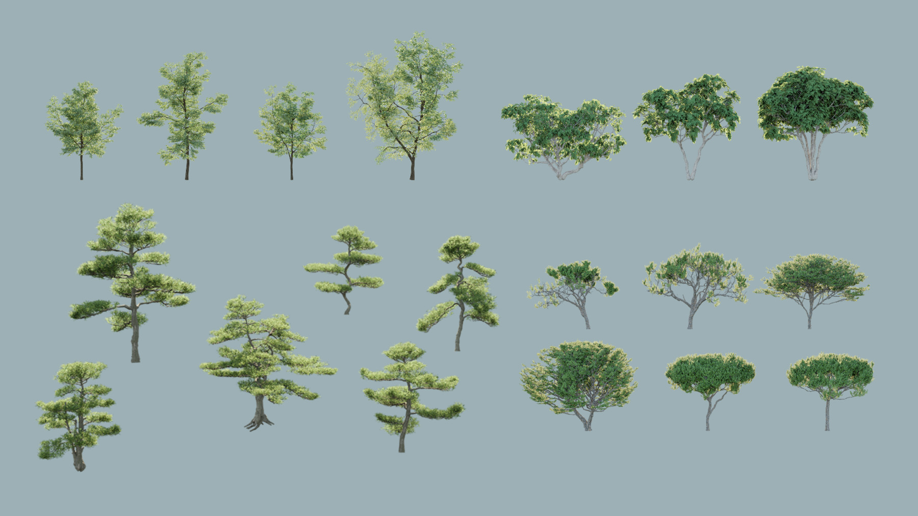 ArtStation - Real Trees Pack | Game Assets