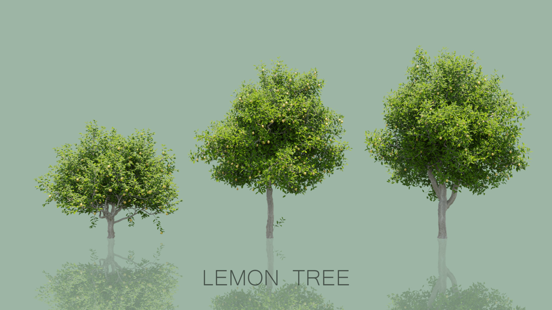 ArtStation - Real Trees Pack | Game Assets