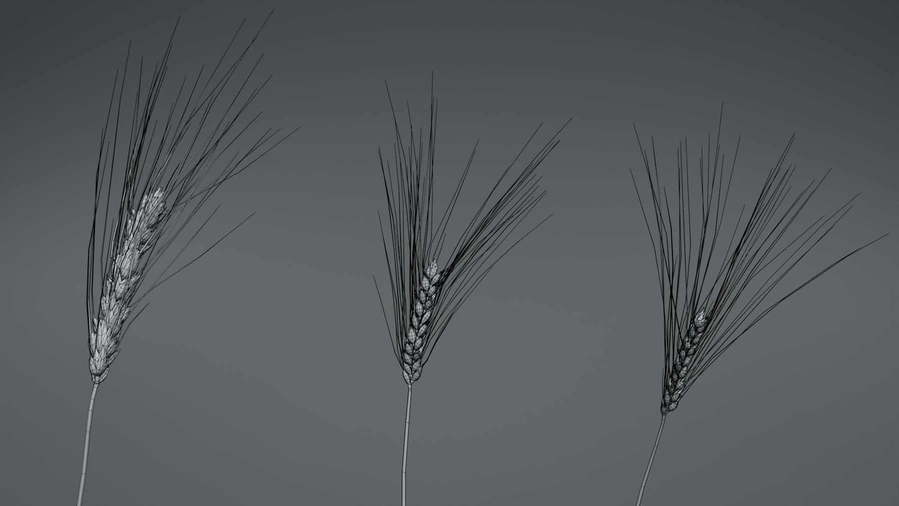 ArtStation - 3D Barley Collection vol02 | Resources