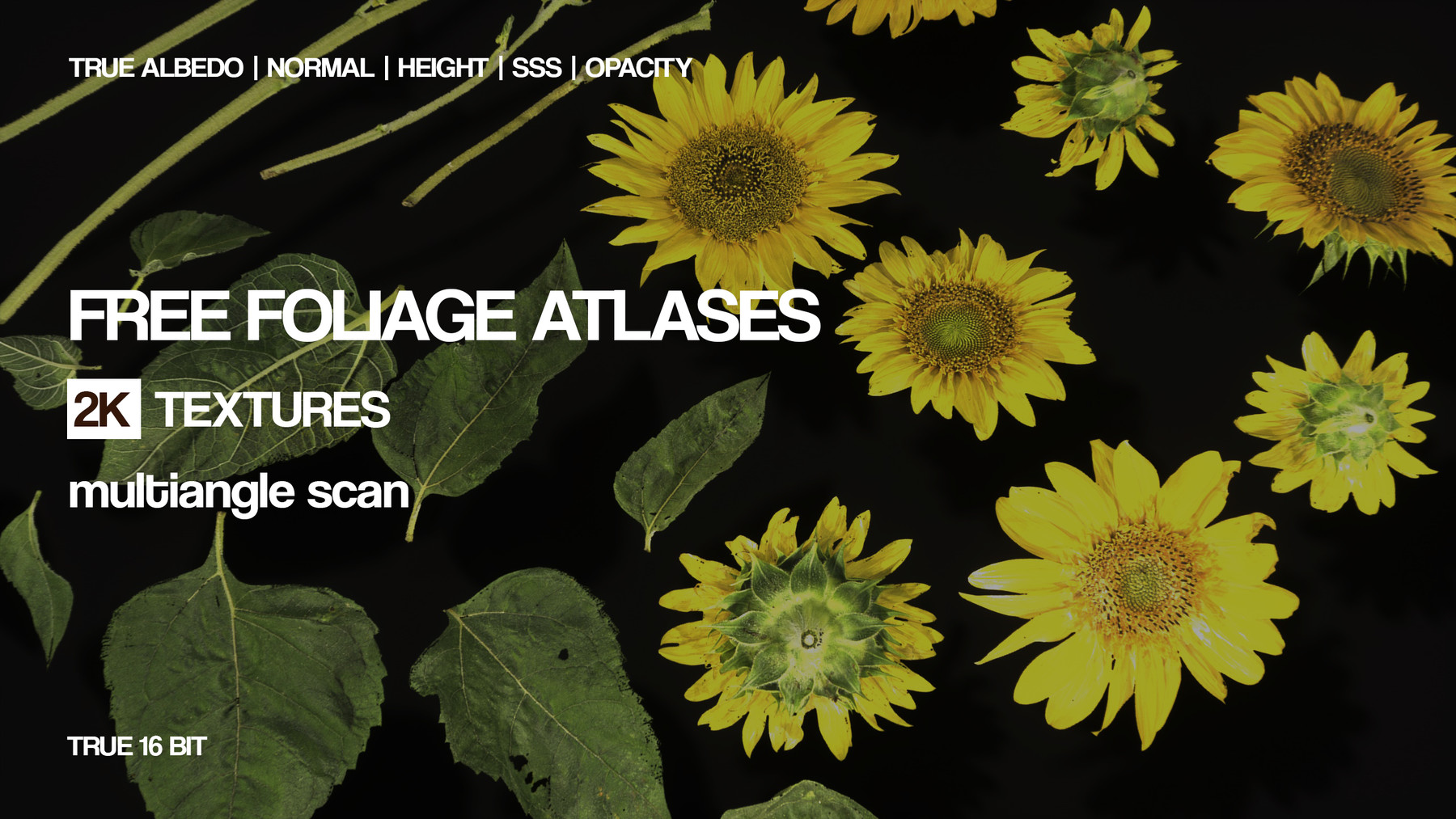 ArtStation - Free atlas textures | Photogrammetry | 32 .tif`s | Game Assets