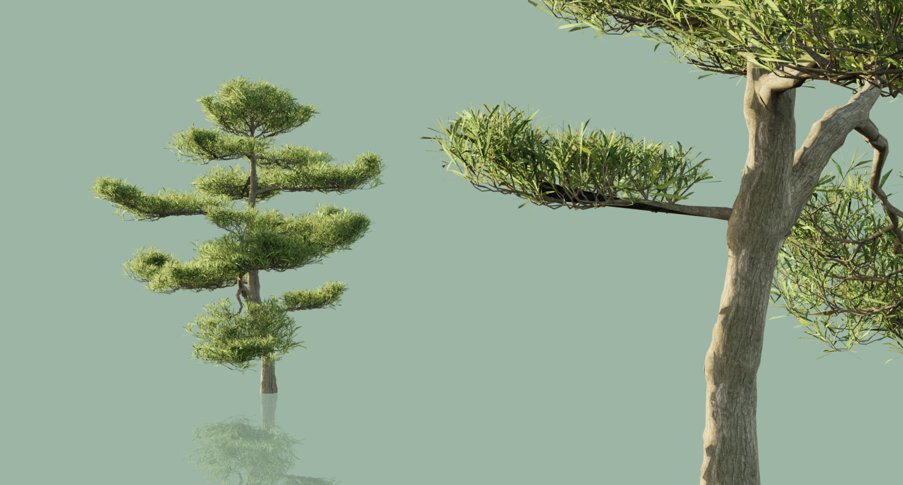 ArtStation - Japanese Bonsai Trees | Game Assets