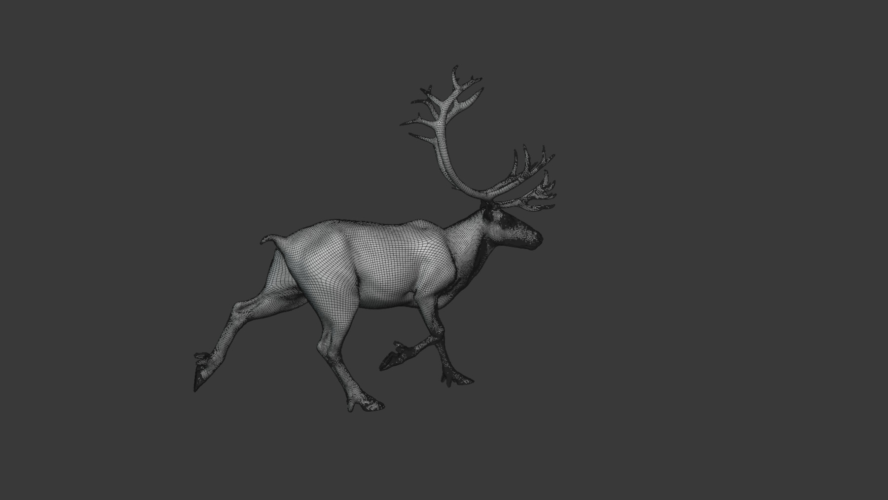 ArtStation - 3D Animal | ReinDeer Male/Female Animated | Resources