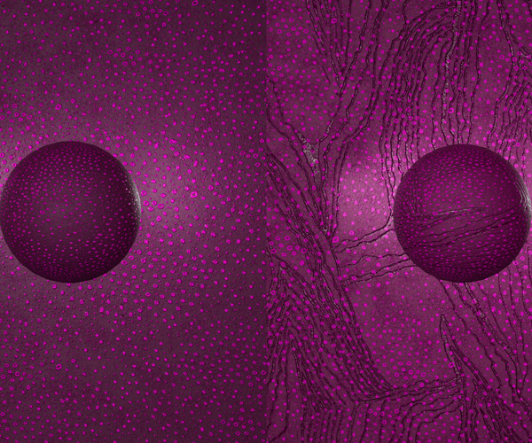 ArtStation - 50 Fantasy style textures illustrated with Substance ...