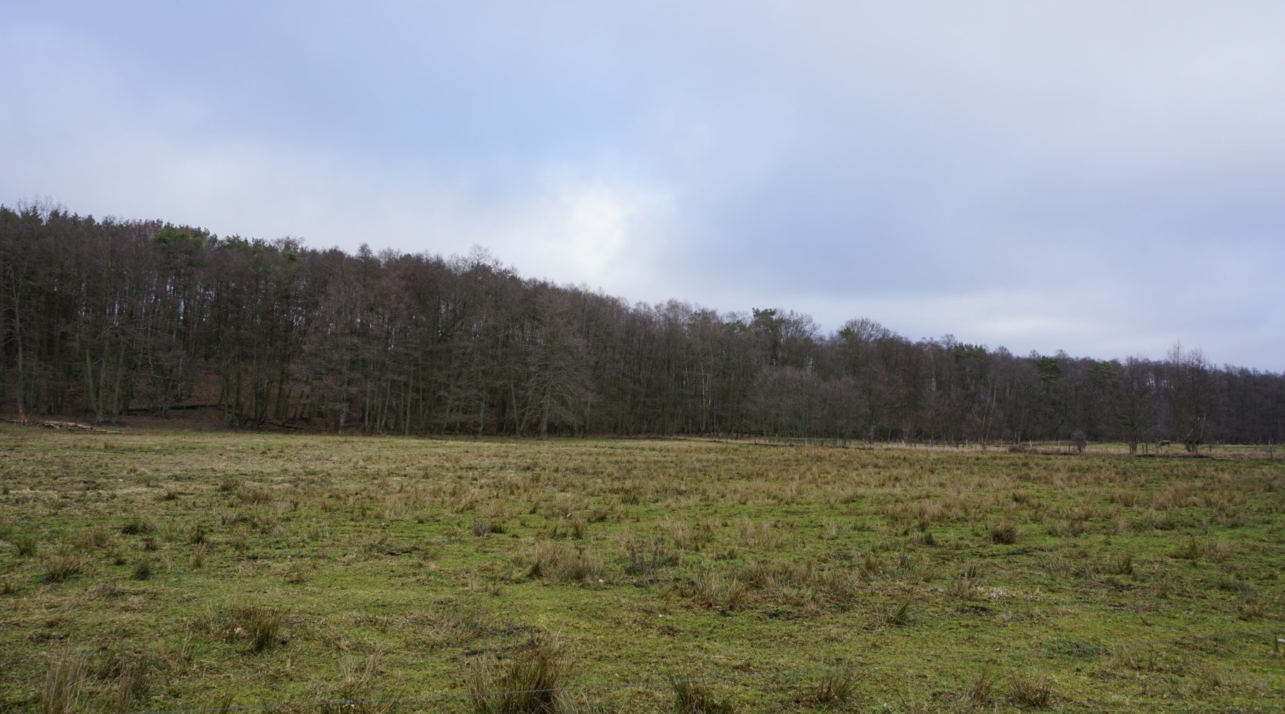 ArtStation - Heithland - 80+ Reference pictures | Resources