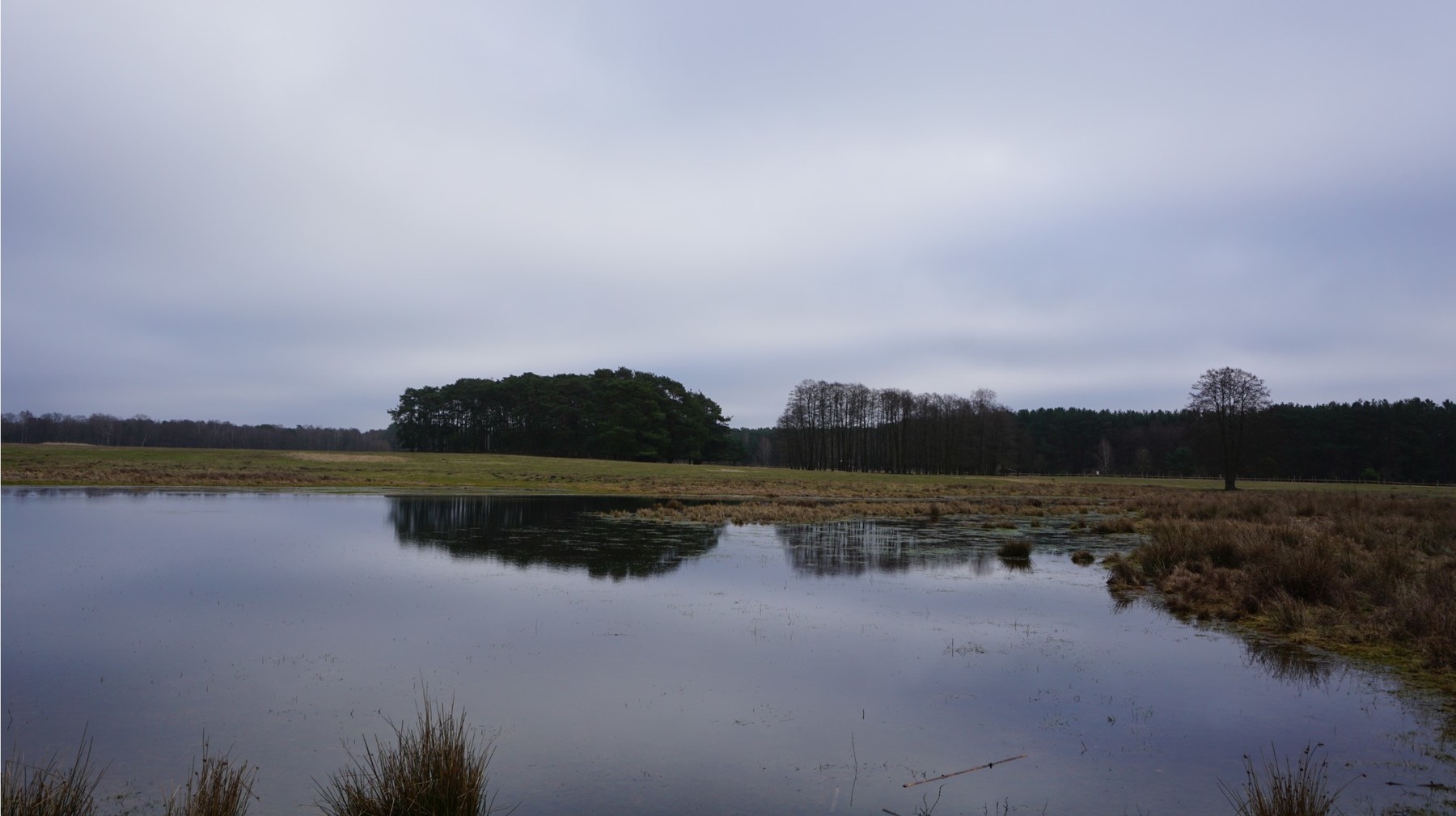 ArtStation - Heithland - 80+ Reference pictures | Resources