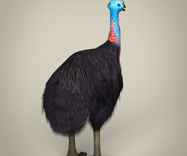 ArtStation - Low Poly Cassowary 3D Model | Game Assets