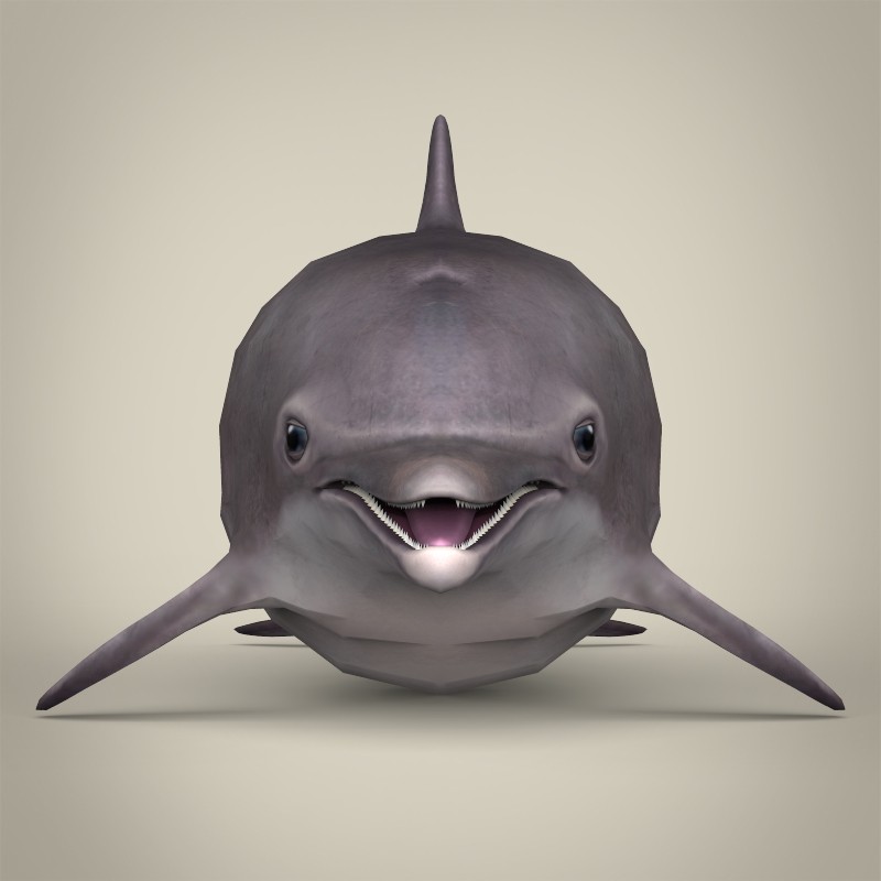 ArtStation - Low Poly Dolphin 3D Model | Game Assets