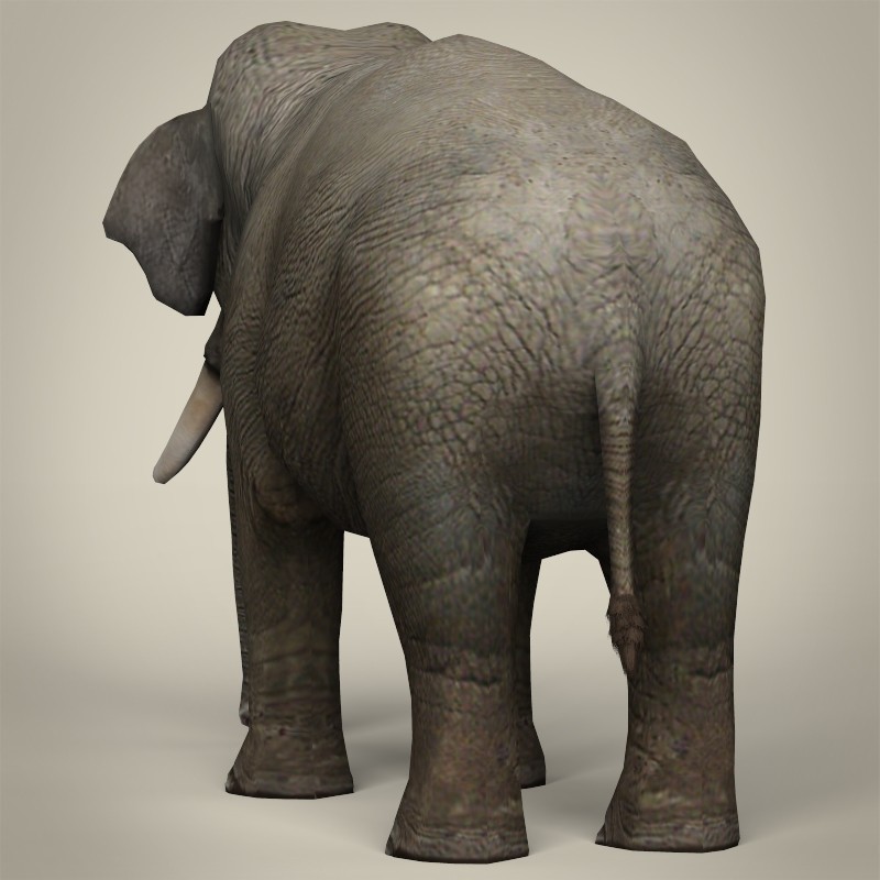 ArtStation - Low Poly Elephant 3D Model | Game Assets