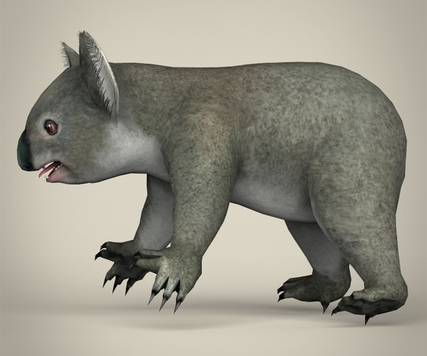 ArtStation - Low Poly Koala 3D Model | Game Assets