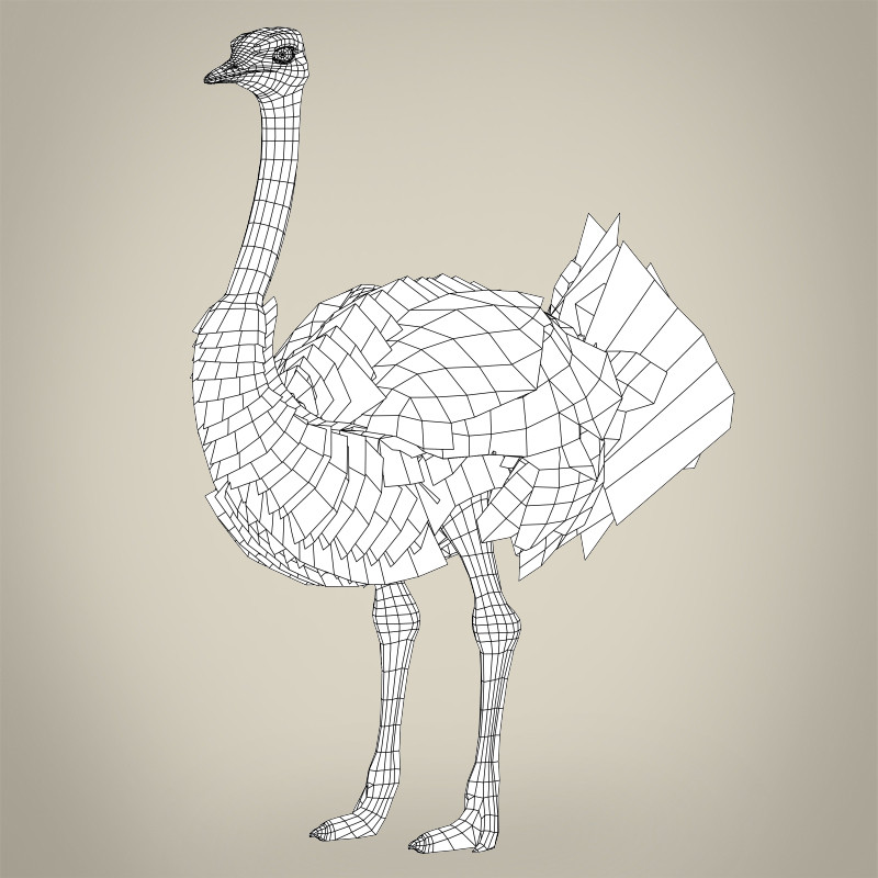ArtStation - Low Poly Ostrich 3D Model | Game Assets