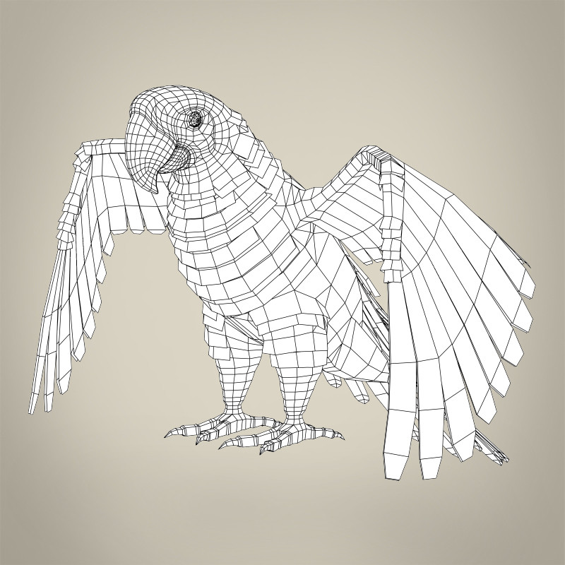 ArtStation - Low Poly Parrot 3D Model | Game Assets