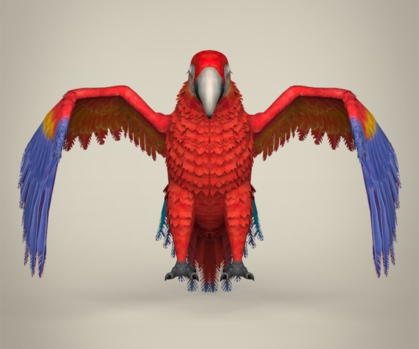 ArtStation - Low Poly Parrot 3D Model | Game Assets