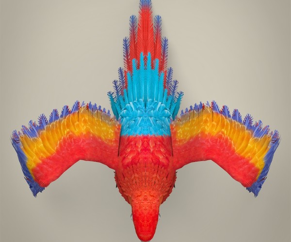 ArtStation - Low Poly Parrot 3D Model | Game Assets
