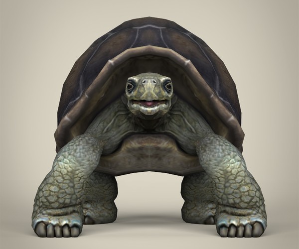 ArtStation - Low Poly Tortoise 3D Model | Game Assets