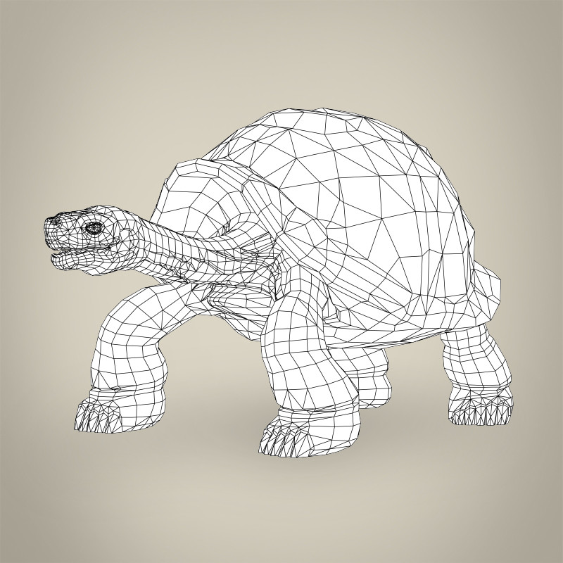 ArtStation - Low Poly Tortoise 3D Model | Game Assets
