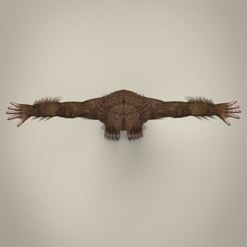 ArtStation - Low Poly Sasquatch 3D Model | Game Assets