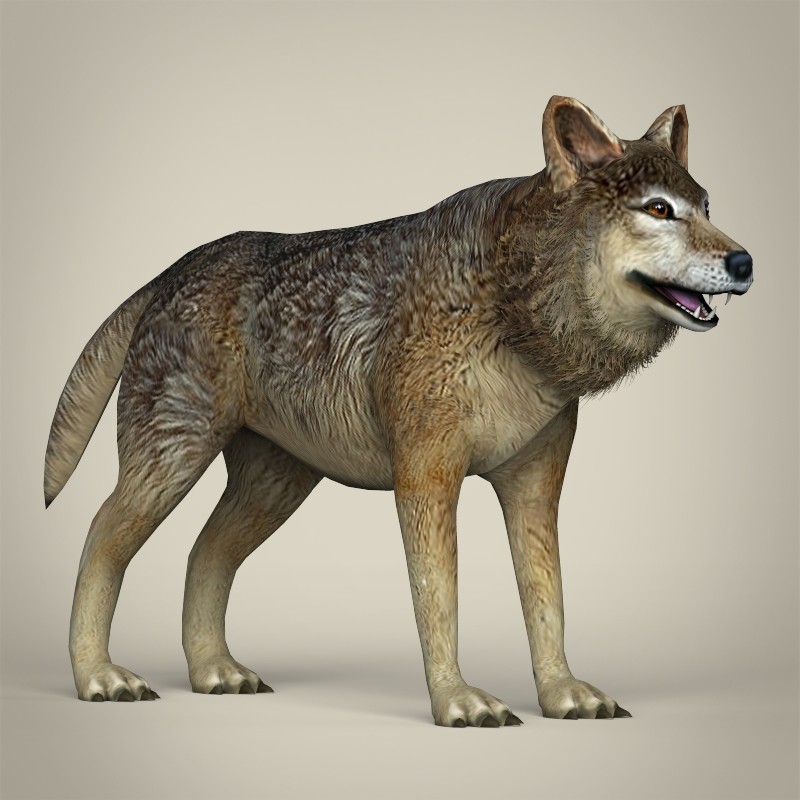 ArtStation - Low Poly Wolf 3D Model | Game Assets