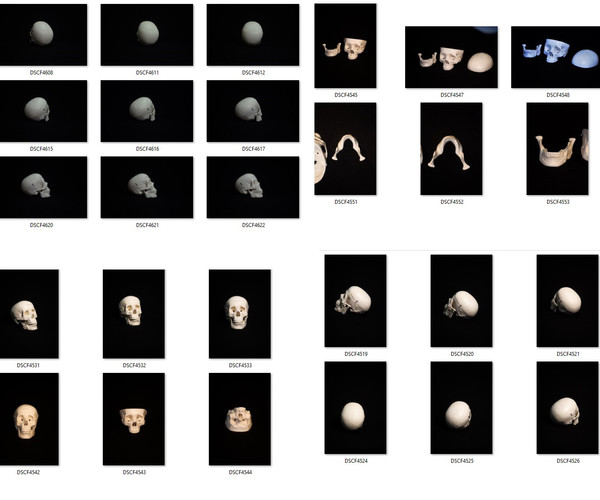 ArtStation - Human skull - Reference pack | Resources